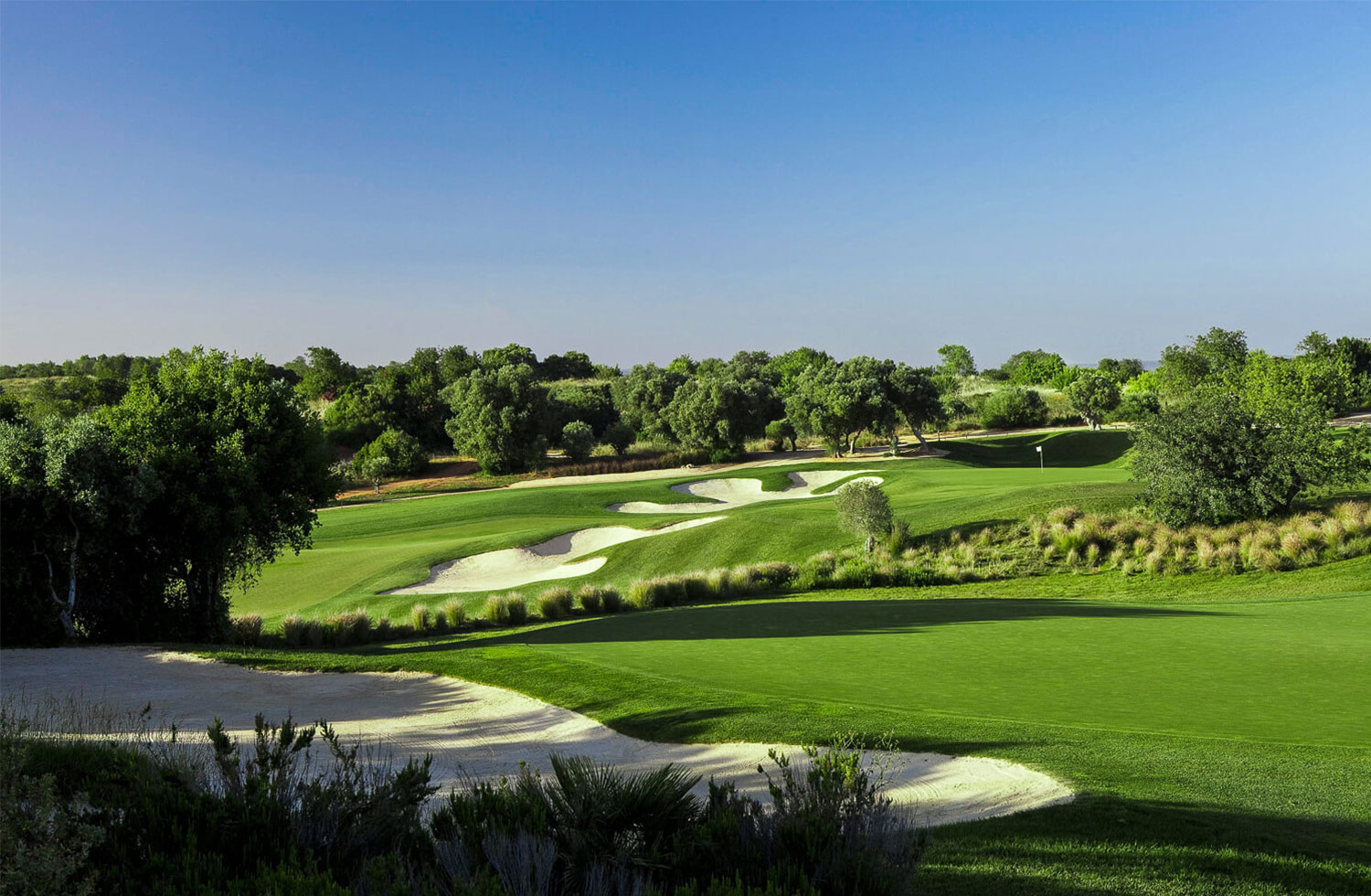 Amendoeira O’Connor - Algarve Golf Guru